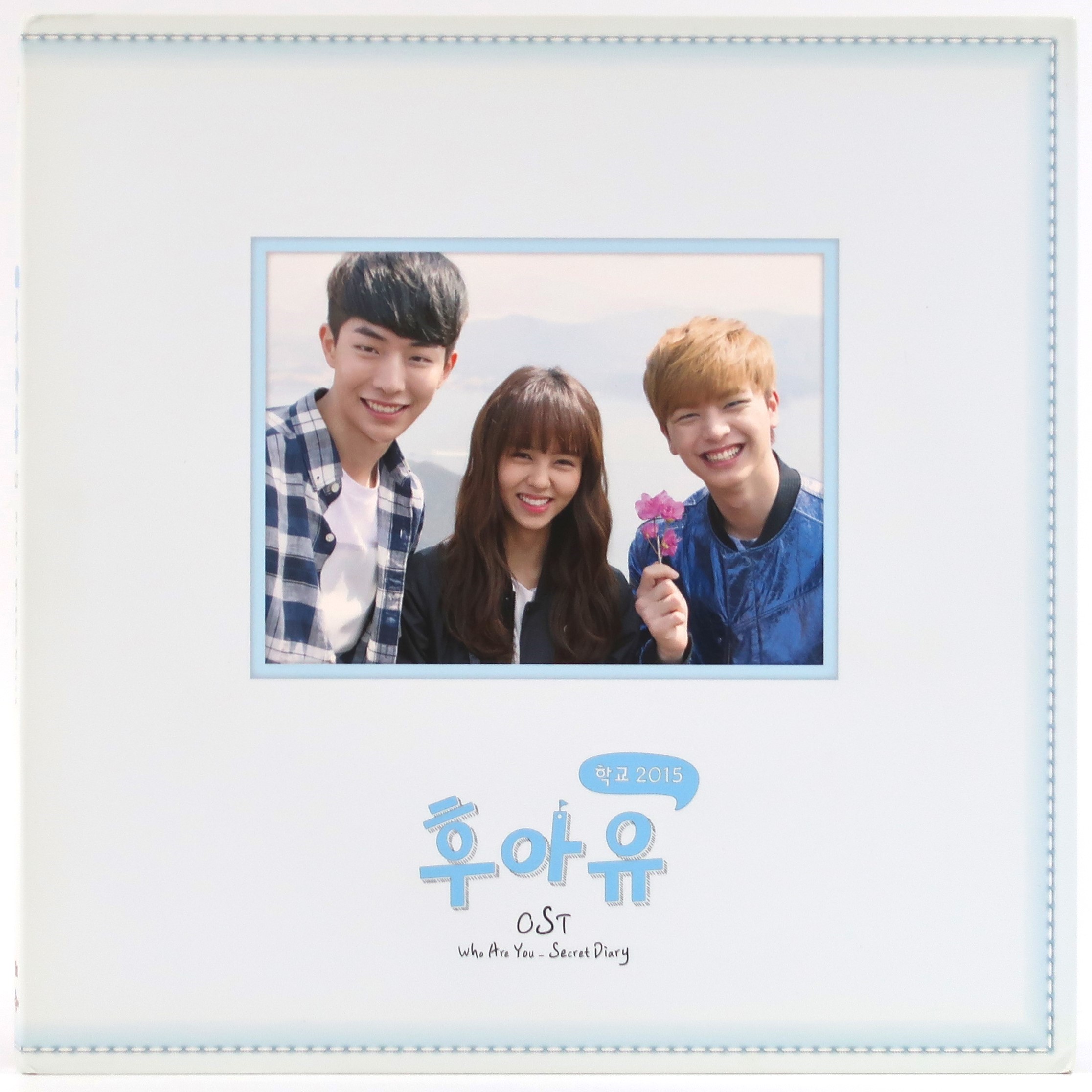Who Are You? Original Soundtrack Secret Diary CD KBS K-Drama 2015 OST Korea - Korea Disco